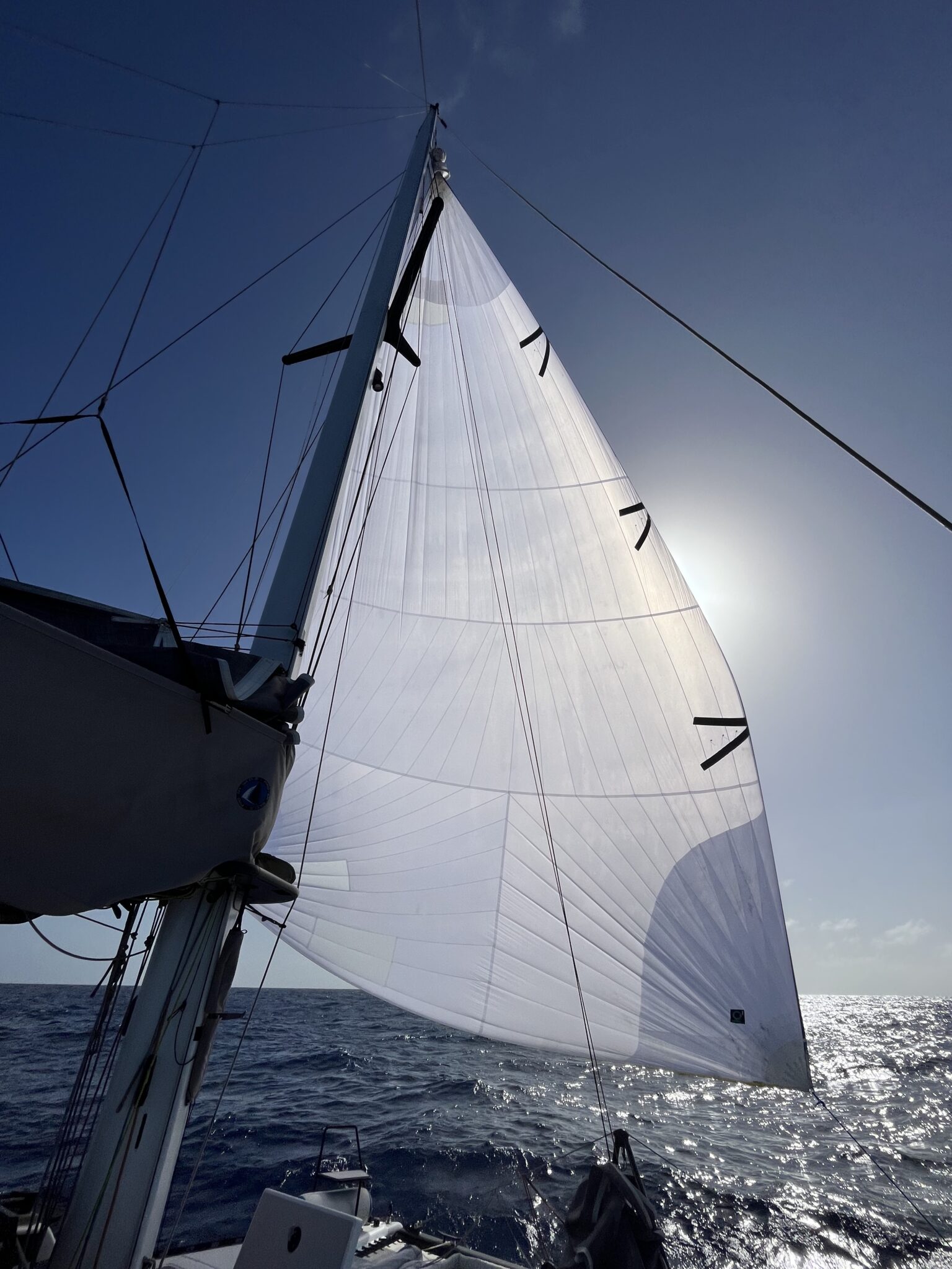 Atlantic Crossing (Part 2): Daily Musings from the Crew - Water Wings ...